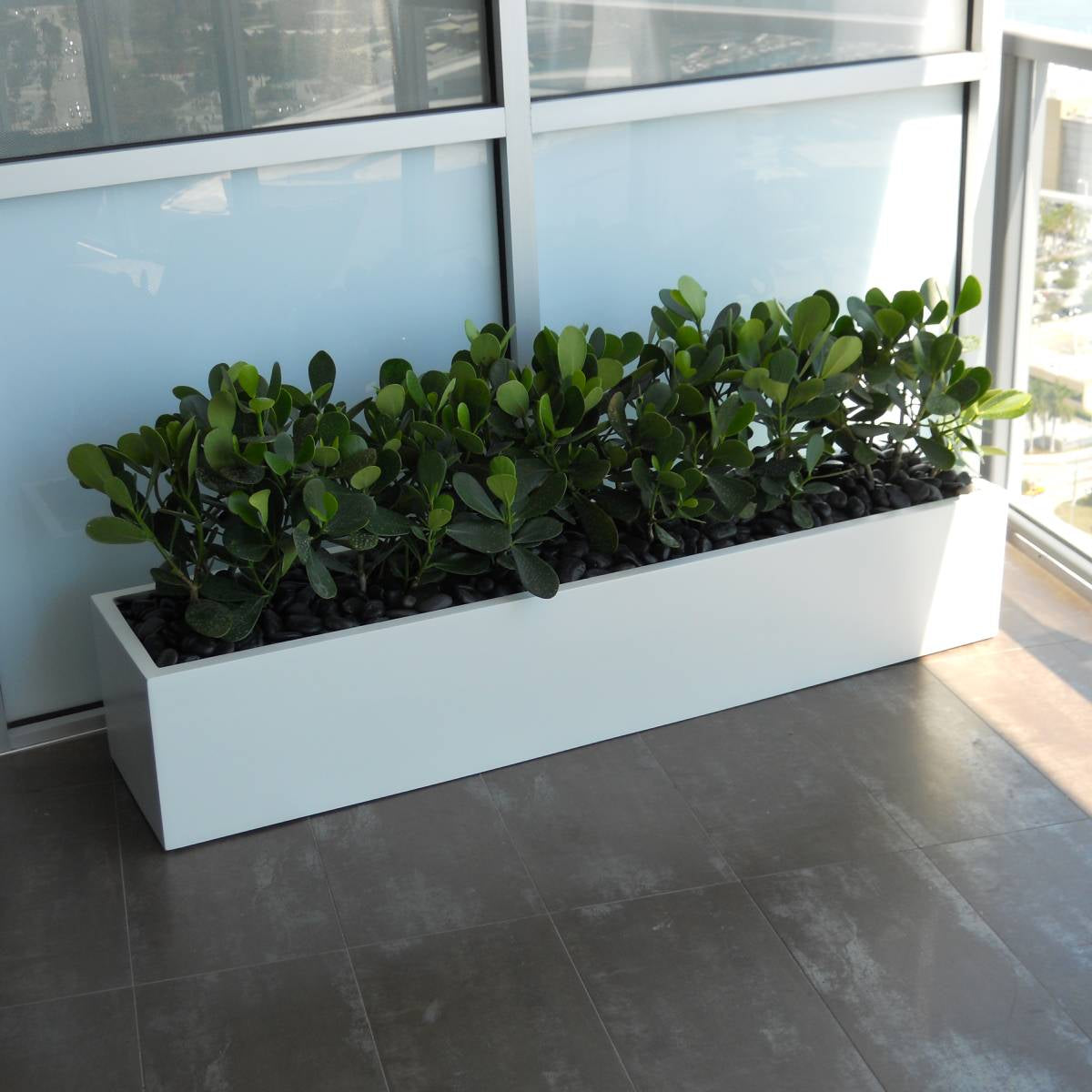 Cuba Low Rectangular Planter – JBD Concepts